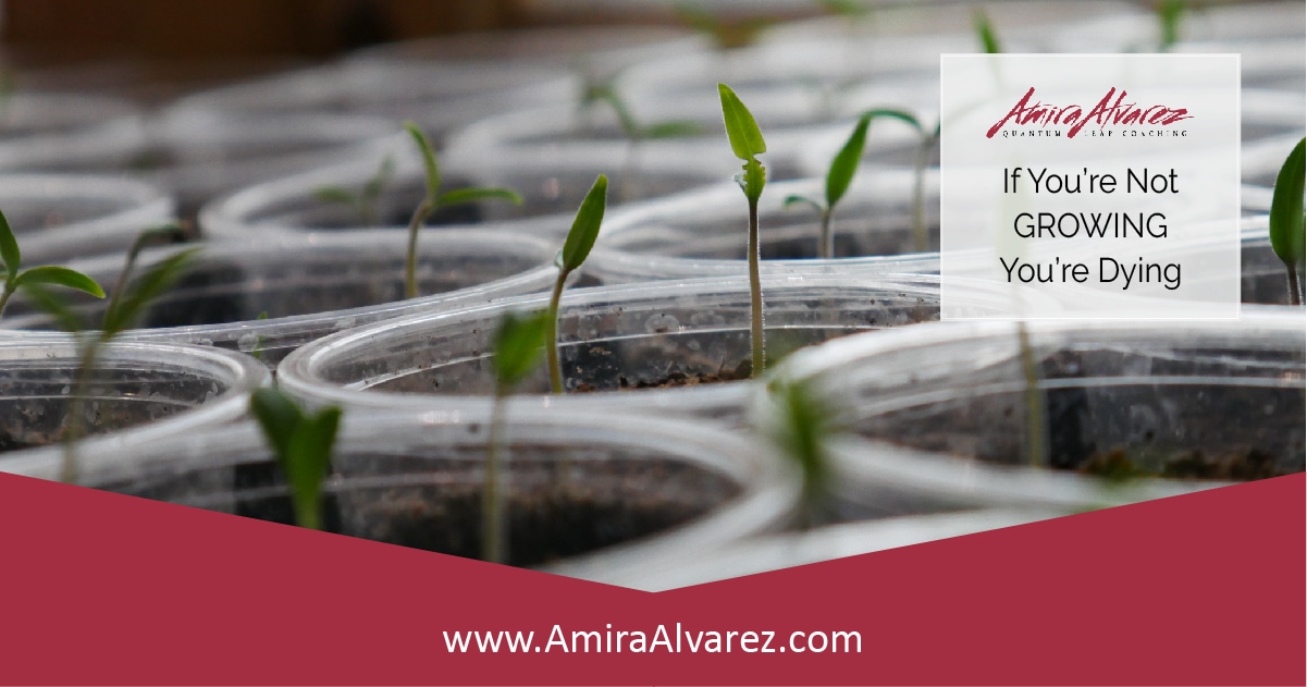 This One Sentence Changed My Life - The Unstoppable Woman®